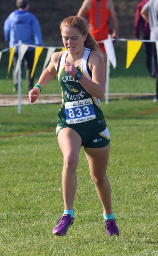 Baylee Espinosa takes home District 4 championship in girls competition ...